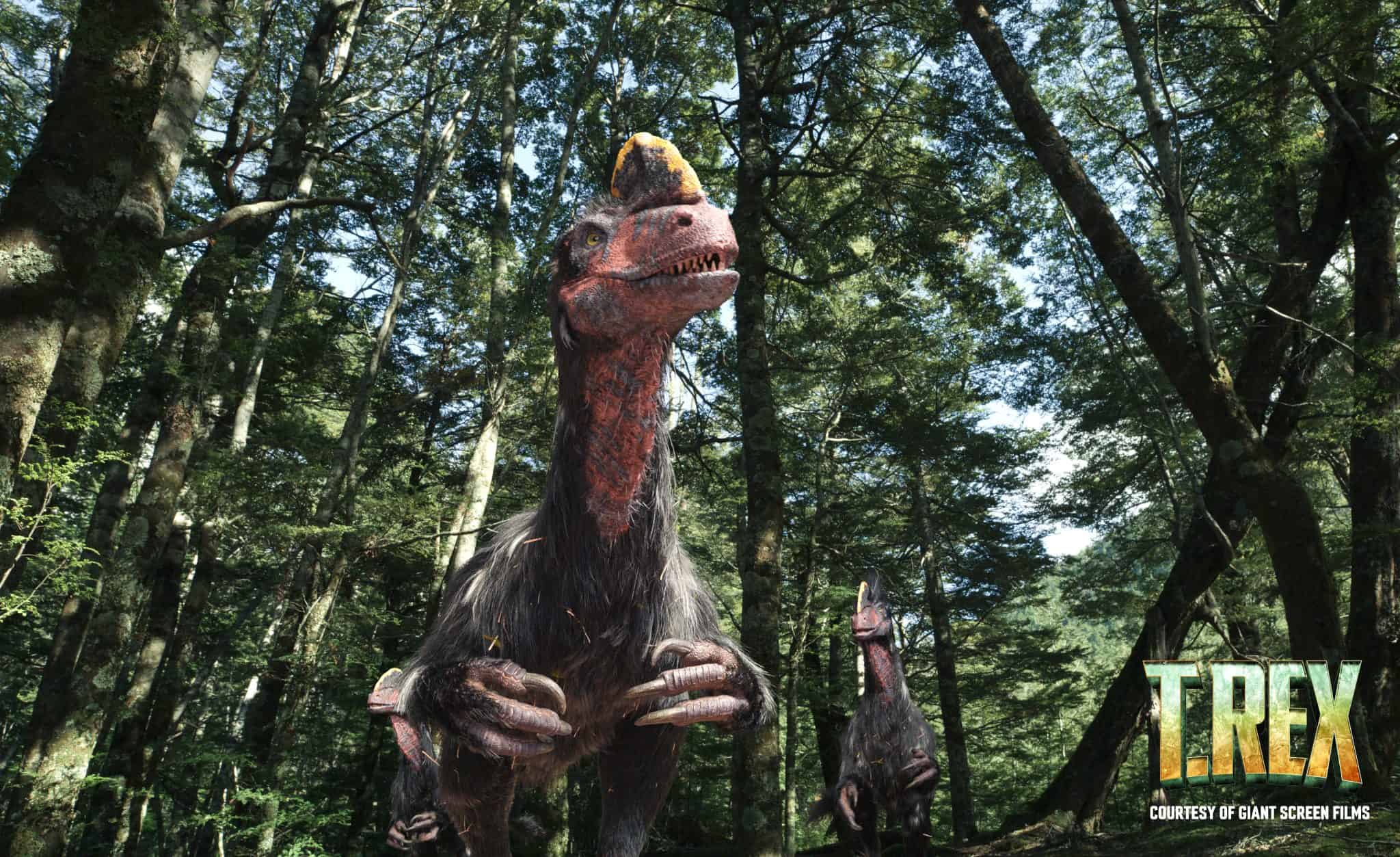 León abre una ventana al pasado: llega experiencia inmersiva del T. Rex ...